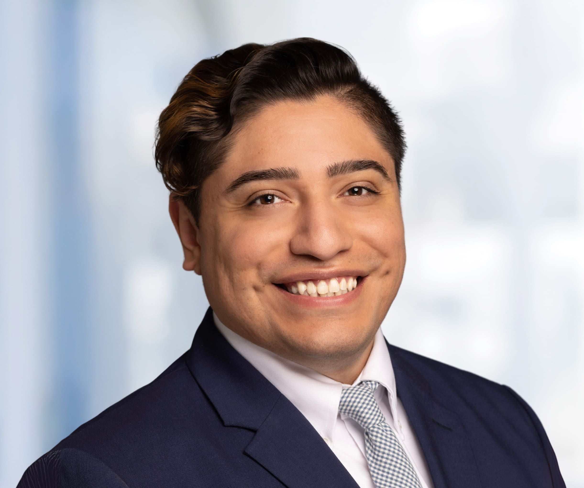 Ernie D. Mejia | Gordon Rees Scully Mansukhani, LLP