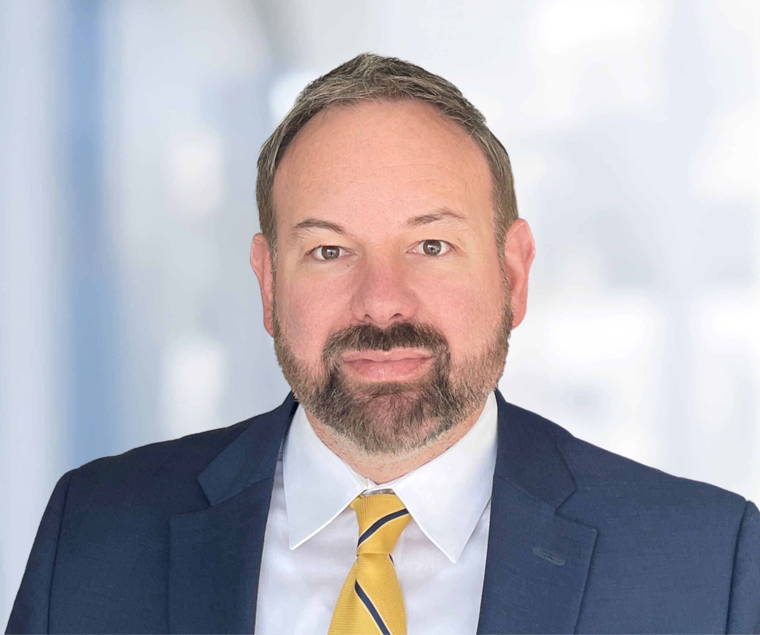 Lance M. Litman | Gordon Rees Scully Mansukhani